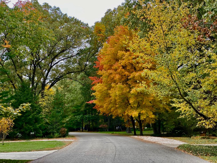 The Splendor of Autumn – Pens and Journals